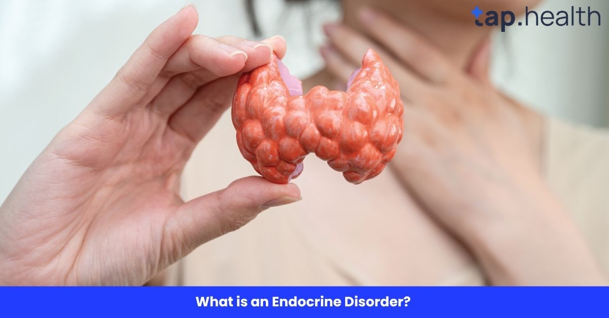 What is an Endocrine Disorder? Causes, Symptoms, Types, and Treatment ...